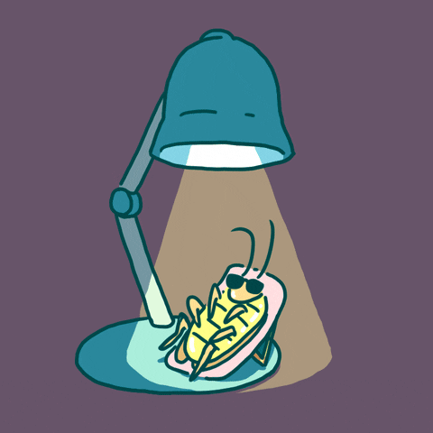 Sun Lamp GIFs - Get the best GIF on GIPHY