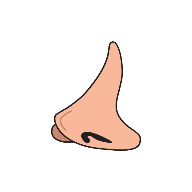 Nose Smelling Clipart