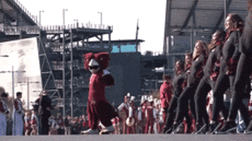 Templeathletics GIFs - Get the best GIF on GIPHY