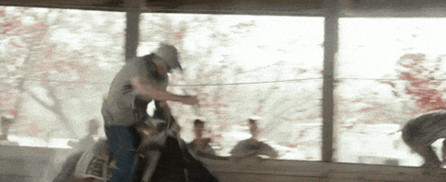 We Are Broncos GIFs - Find & Share on GIPHY