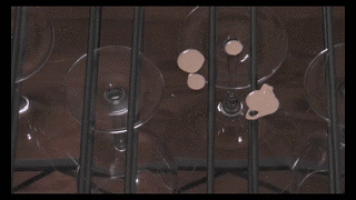 Rug Cleaning GIFs - Get the best GIF on GIPHY