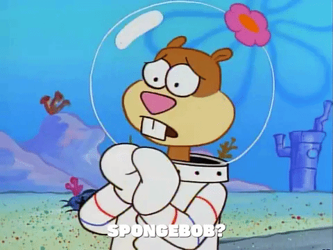 Season 1 Sb 129 GIF by SpongeBob SquarePants - Find & Share on GIPHY
