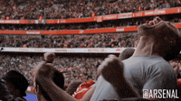 Angry Sports Fan Gif