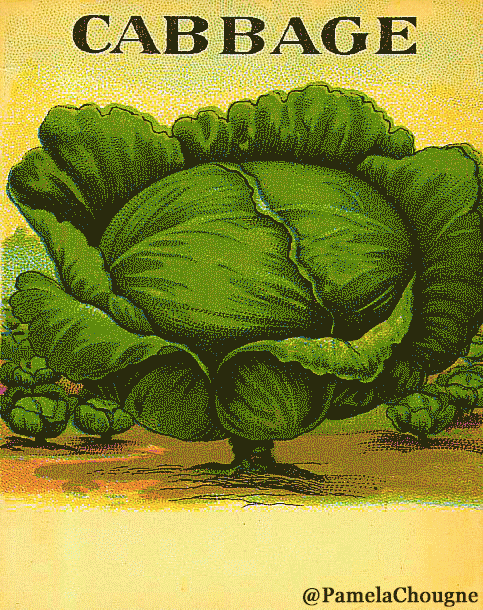 Plane Cabbage GIF - Find & Share on GIPHY