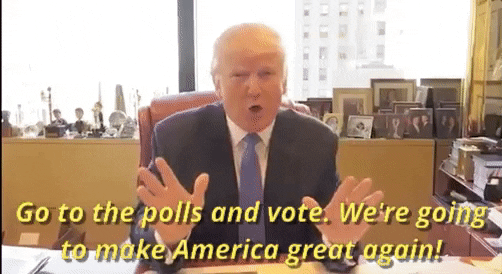 Voting Donald Trump GIF by Election 2016 - Find & Share on GIPHY