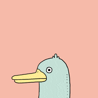 Duck Season Hello GIF by Sherchle - Find & Share on GIPHY