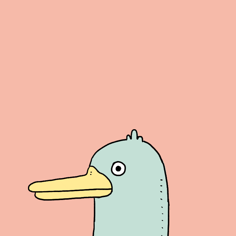 Duck Season Hello GIF by Sherchle - Find & Share on GIPHY