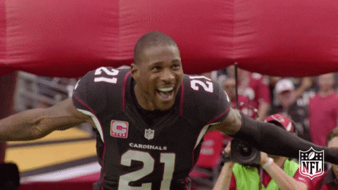 Arizona Cardinals Football GIF by NFL - Find & Share on GIPHY
