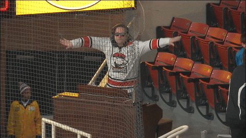 Charlotte Checkers GIF - Find & Share on GIPHY