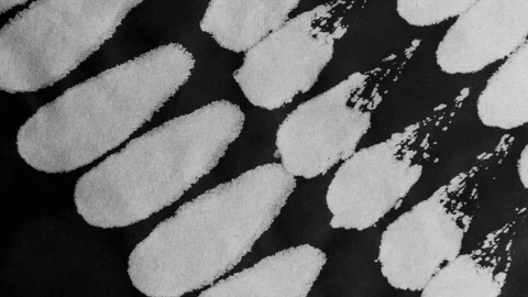 Drawn Maze GIFs - Get the best GIF on GIPHY