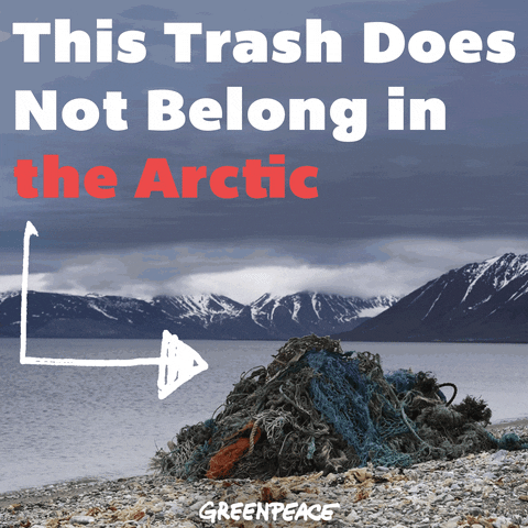 Aral Sea GIFs - Find & Share on GIPHY