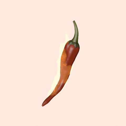 Dancing Chili Peppers GIFs - Find & Share on GIPHY