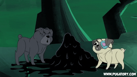 Dog Oops GIF by Pugatory - Find & Share on GIPHY