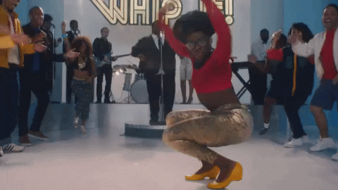 Whip Dance Gif