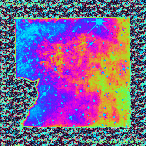 Hallucination Cat GIFs - Get the best GIF on GIPHY