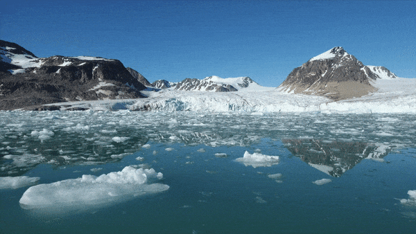 - Find & Share on GIPHY