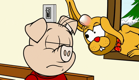 Angry Sturgeon Face GIF by Estudios Animeco - Find & Share on GIPHY