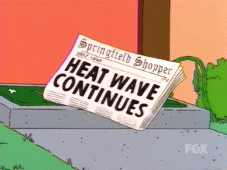 Blazing Hot Weather GIFs by Reaction GIFs | GIPHY