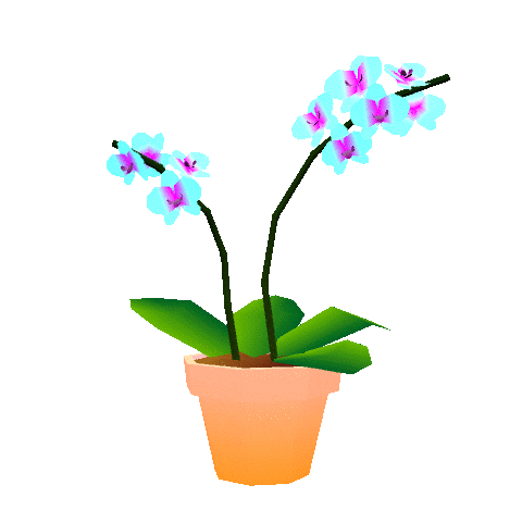 Flower Orchid Sticker by jjjjjohn for iOS & Android | GIPHY