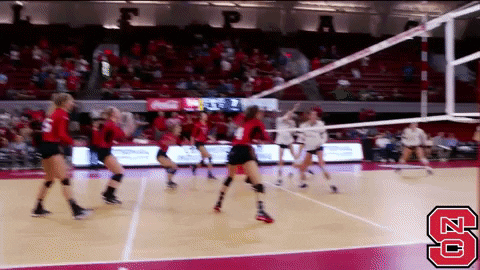 Nc State Celebration GIF by NC State Athletics - Find & Share on GIPHY