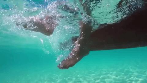 Pulau-berlayar GIFs - Get the best GIF on GIPHY