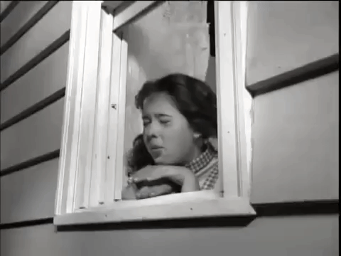 #231 GIFs on GIPHY - Be Animated