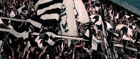 Botafogo De Futebol E Regatas GIF by Botafogo - Find & Share on GIPHY