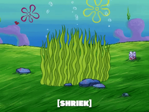 Season 6 Porous Pockets GIF by SpongeBob SquarePants - Find & Share on ...