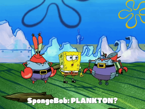 Season 5 Bet GIF by SpongeBob SquarePants - Find & Share on GIPHY