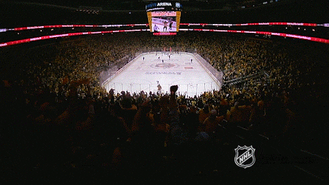 Ice Hockey GIF by NHL - Find & Share on GIPHY