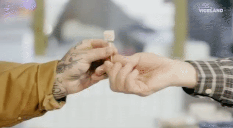 Dead Set on Life GIFs on GIPHY - Be Animated