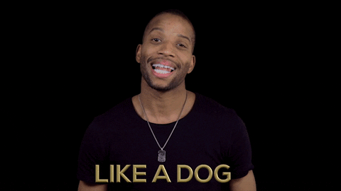 Like A Dog GIFs - Get the best GIF on GIPHY