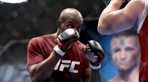 The Ultimate Fighter Ufc GIF - Find & Share on GIPHY