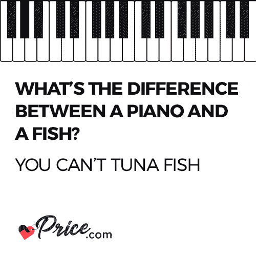 Tuna-fish GIFs - Get the best GIF on GIPHY
