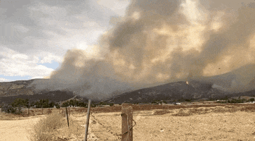 California Wildfires GIFs - Find & Share on GIPHY