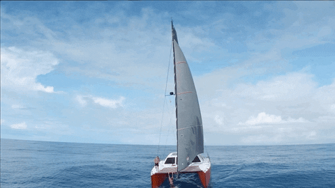 Sailboat GIFs - Find & Share on GIPHY