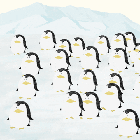 Cold Weather Snow GIF by aico - Find & Share on GIPHY