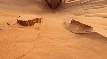 Pound Sand GIFs - Find & Share on GIPHY