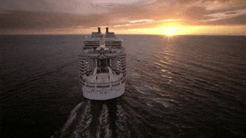 Cruise GIFs - Find & Share on GIPHY