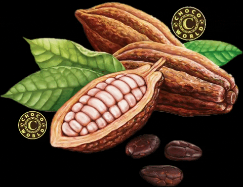 Cacao GIFs - Get the best GIF on GIPHY