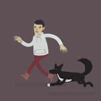 Dog Running Cycle