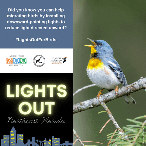 Point Light GIFs - Get the best GIF on GIPHY