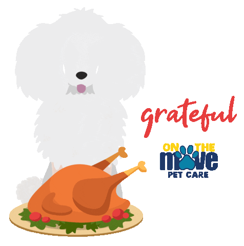 OTM Pet Care GIFs on GIPHY - Be Animated