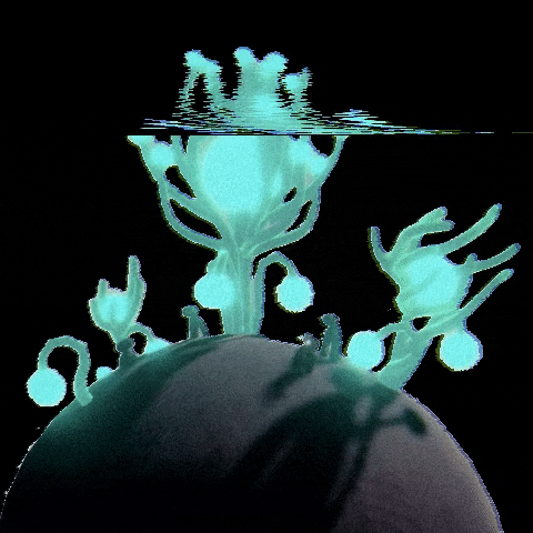 Transitional-forms GIFs - Get the best GIF on GIPHY