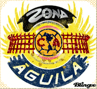 Aguila GIFs - Get the best GIF on GIPHY