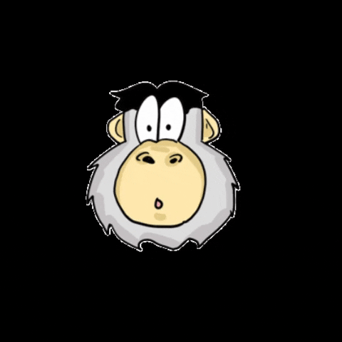 Monkey GIF - Find & Share on GIPHY