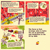 Ant Farm Paisley Gif