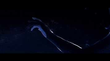 Destiny 2: Lightfall GIFs on GIPHY - Be Animated