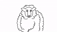 Screaming Sheep Gif