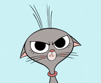 Confused Cat Animated Gif